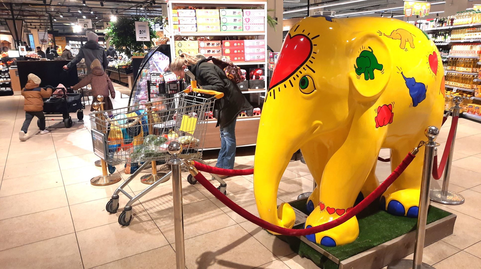 Twee olifanten geplaatst in winkel Jumbo Veltink - Het laatste nieuws ...
